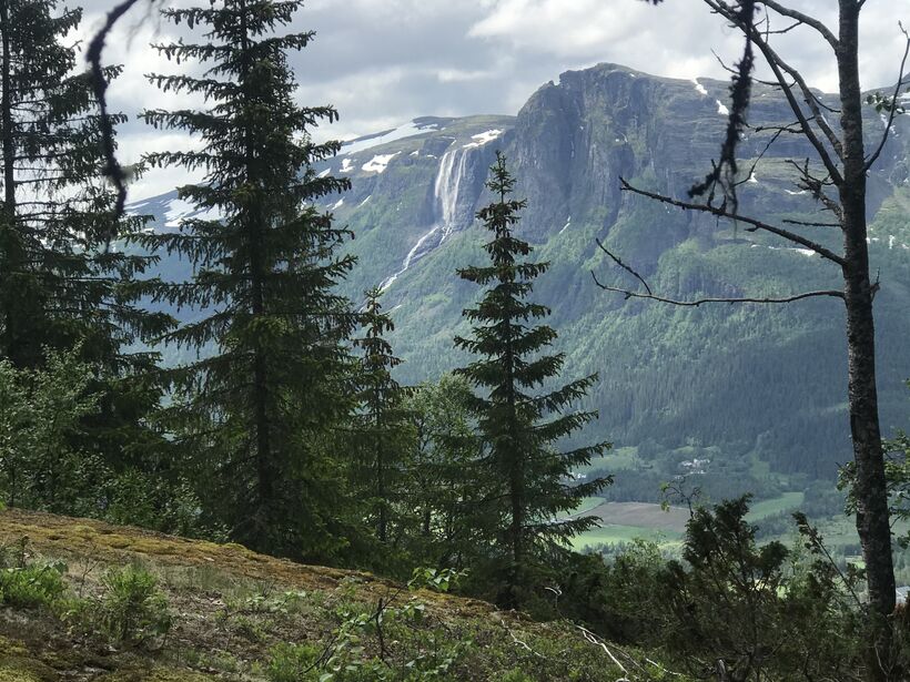 Hemsedal | Turstier i Hemsedal