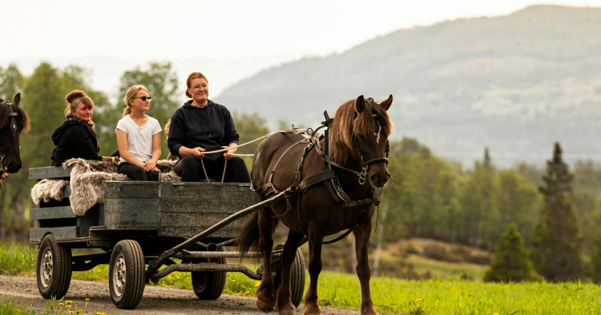 Hemsedal | Tur med hest og vogn